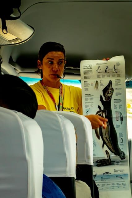 Puerto Madryn: Punta Tombo Walking Among Penguins Experience - The Value of this Experience