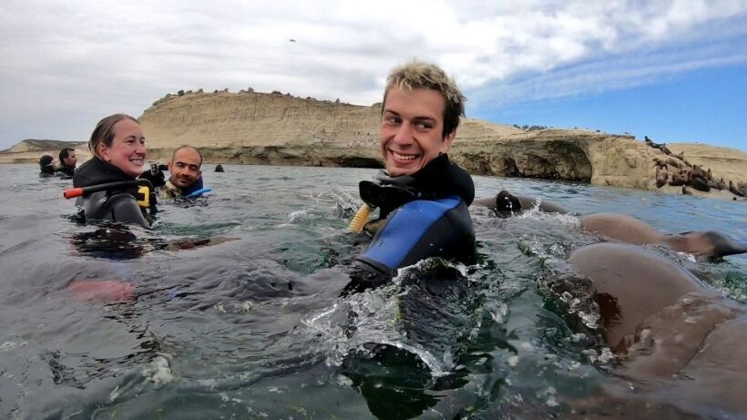 Puerto Madryn: Snorkeling Trip with Sea Lions - The Value of the Experience: What You’re Paying For