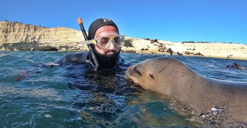 Puerto Madryn: Snorkeling Trip with Sea Lions - The Authentic Experience: What Makes This Tour Special