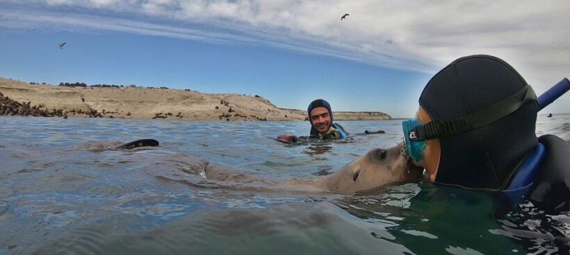 Puerto Madryn: Snorkeling Trip with Sea Lions - Practical Tips for Travelers