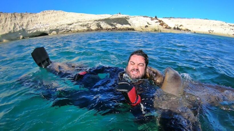 Puerto Madryn: Snorkeling Trip with Sea Lions - FAQs