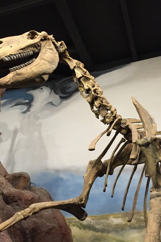 Puerto Madryn: Tour of Welsh Settlements in Patagonia - Final Thoughts on Value