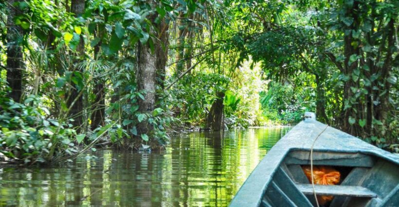 Puerto Maldonado: 2-Day Peruvian Tambopata Jungle Trip - Key Points