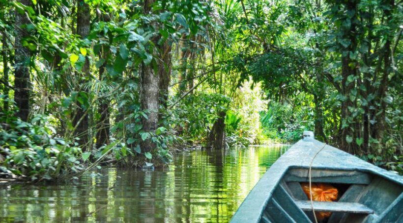 Puerto Maldonado: 2-Day Peruvian Tambopata Jungle Trip - Authentic Amazon Encounters in Just Two Days