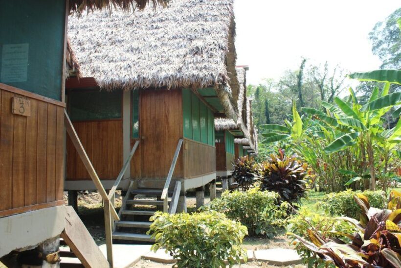 Puerto Maldonado: 2-Day Peruvian Tambopata Jungle Trip - The Balance of Adventure and Comfort