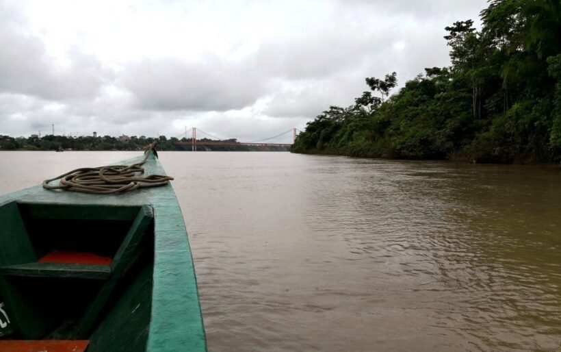 Puerto Maldonado: 3-day Tour to Tambopata National Reserve - Who Should Consider This Tour?