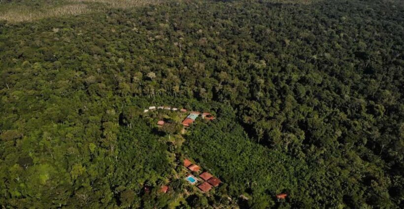 Puerto Maldonado : 4-Day Amazon Rainforest Adventure - Key Points