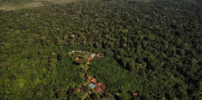 Puerto Maldonado : 4-Day Amazon Rainforest Adventure - Authentic Experiences and What Travelers Say