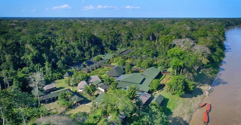 Puerto Maldonado: 4-day Tambopata National Reserve - Exploring the Tambopata Jungle: What to Expect