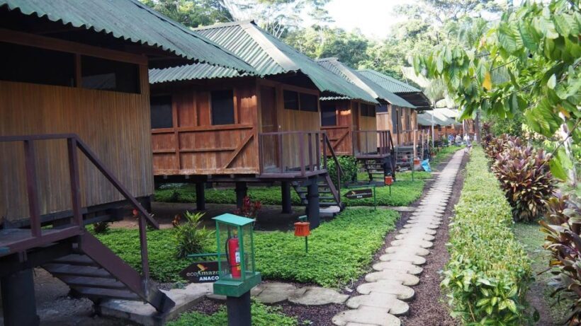 Puerto Maldonado: 4-day Tambopata National Reserve - Final Thoughts