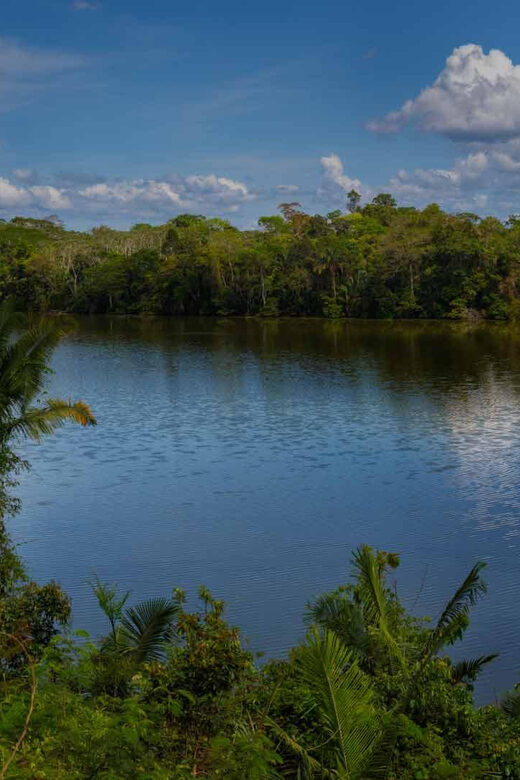 Puerto Maldonado: Excursion to the Chuncho clay lick - A Closer Look at the Itinerary