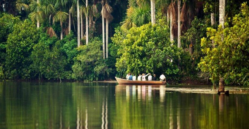 Puerto Maldonado |Hiking in the jungle + Sandoval Lake| - Exploring the Amazon in Puerto Maldonado: Hiking and Sandoval Lake
