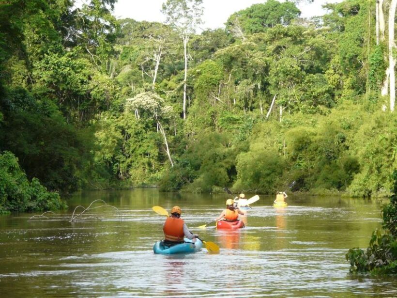 Puerto Maldonado: Kayak and Zip Line Adventure + Monkey Isla - Ziplining Through the Canopy