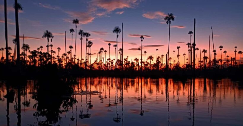 Puerto Maldonado: Lake Yacumama sunset and piranha fishing - Who Should Consider This Tour?