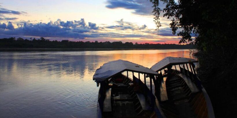 Puerto Maldonado: Parrot and Macaw Clay Lick Excursion - Key Points