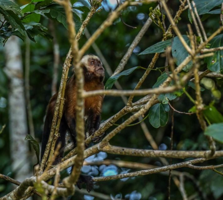 Puerto Maldonado: Sandoval Lake Full-Day Trip with Canoeing - An In-Depth Look at the Tour Experience