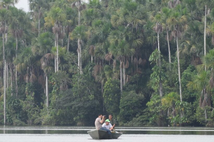 Puerto Maldonado: Sandoval Lake Full-Day Trip with Canoeing - Authenticity & What Travelers Say