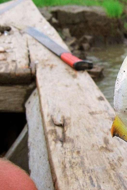 Puerto Maldonado Visit to Lake Yacumama and Enjoy the Sunset - Logistics, Timing, and Practical Tips