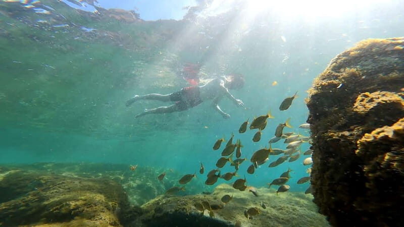 Puerto Mogán: Guided Adventure Kayak Tour in Caves & Snorkel - FAQ