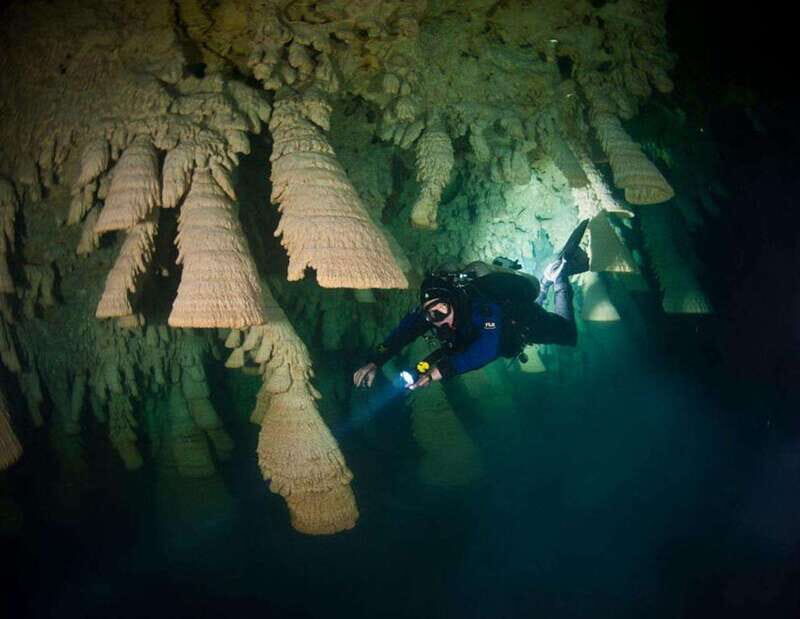 Puerto Morelo: Cenote Diving - Key Points