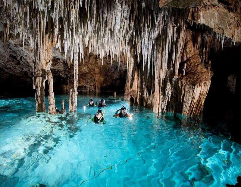 Puerto Morelo: Cenote Diving - What You Can Expect on This Cenote Diving Tour