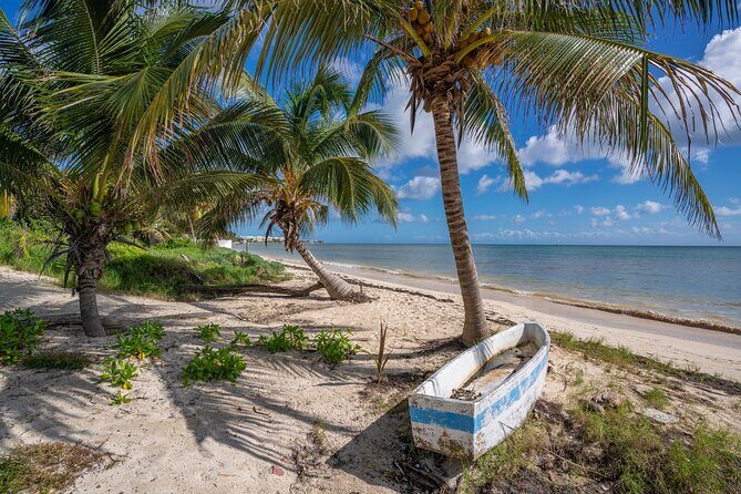Puerto Morelos and Cenote with Snorkeling Tour from Cancun - Key Points