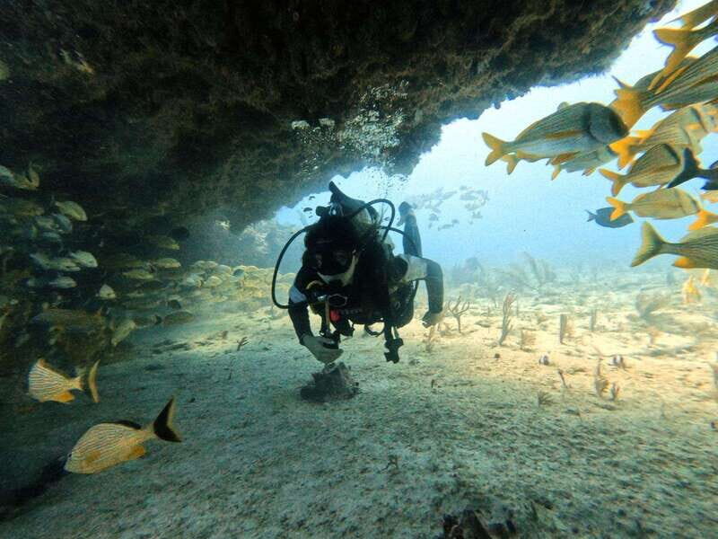 Puerto Morelos: C-56 Shipwreck & Reef for Certified Divers - Key Points