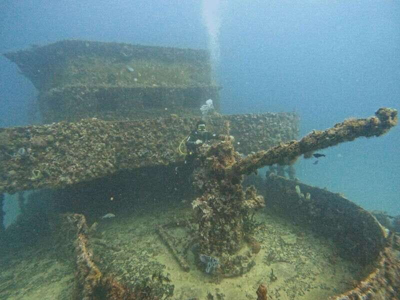 Puerto Morelos: C-56 Shipwreck & Reef for Certified Divers - A Closer Look at the Puerto Morelos C-56 Shipwreck & Reef Tour