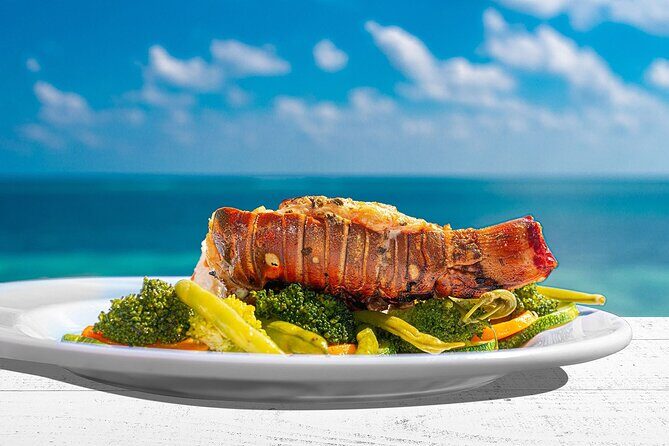 Puerto Morelos Reef Snorkeling Tour with Lunch & Hotel Pickup - Introduction: Why Consider This Tour?