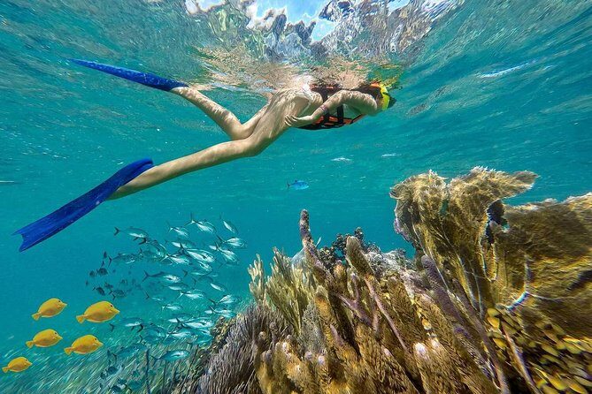 Puerto Morelos Reef Snorkeling Tour with Lunch & Hotel Pickup - The Realities: Pros and Cons