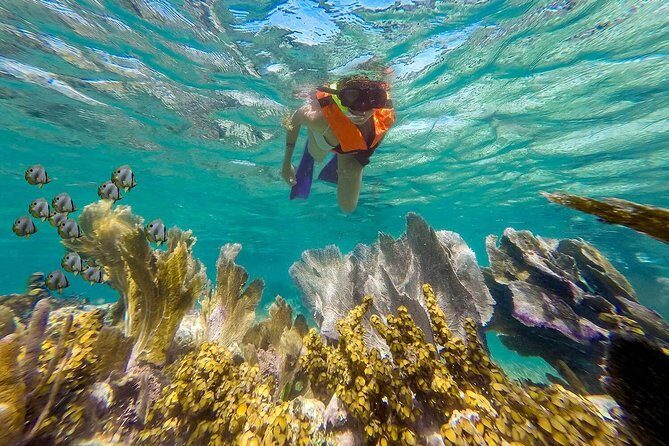 Puerto Morelos Reef Snorkeling Tour with Lunch & Hotel Pickup - Deep Dive: Why This Tour Works for Some Travelers