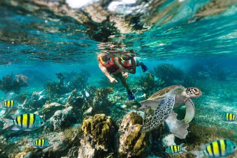 Puerto Morelos: Reef Snorkeling Trip with Beachside Lunch - Key Points