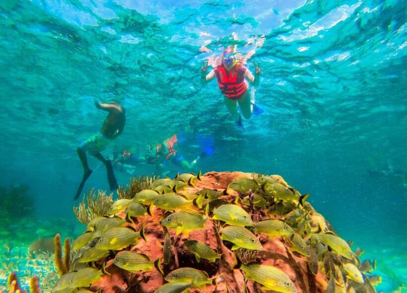 Puerto Morelos: Reef Snorkeling Trip with Beachside Lunch - Authenticity and Local Flavor