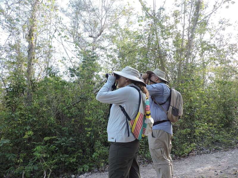 Puerto Morelos: Ruta de los Cenotes Birdwatching Tour - A Closer Look at the Tour Experience