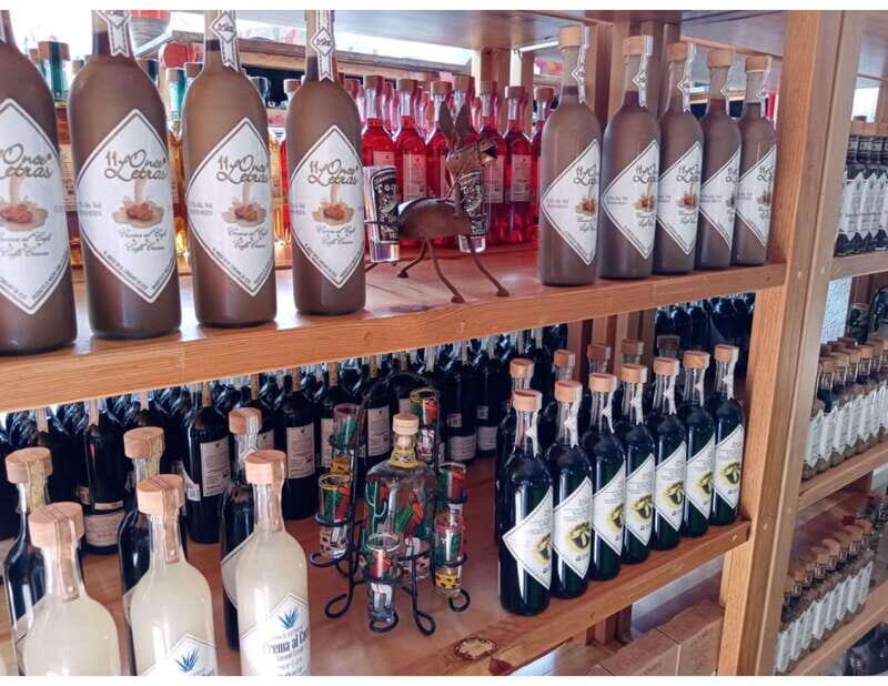 Puerto Morelos: Shopping Tour & Cenote Kin Ha - What To Expect and Practical Tips