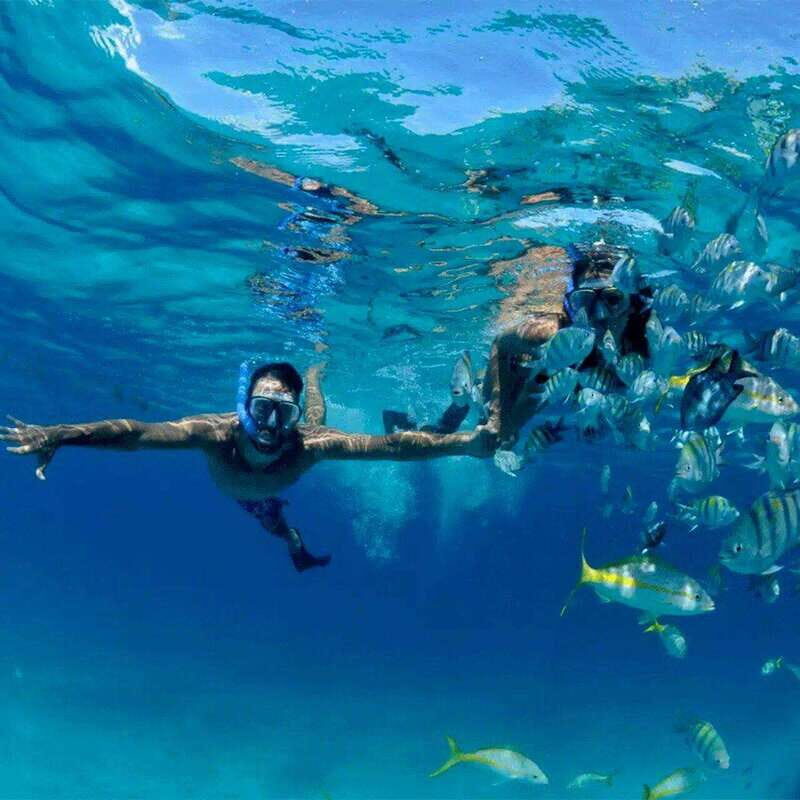 Puerto Morelos: Snorkeling at The National Reef Park - Key Points