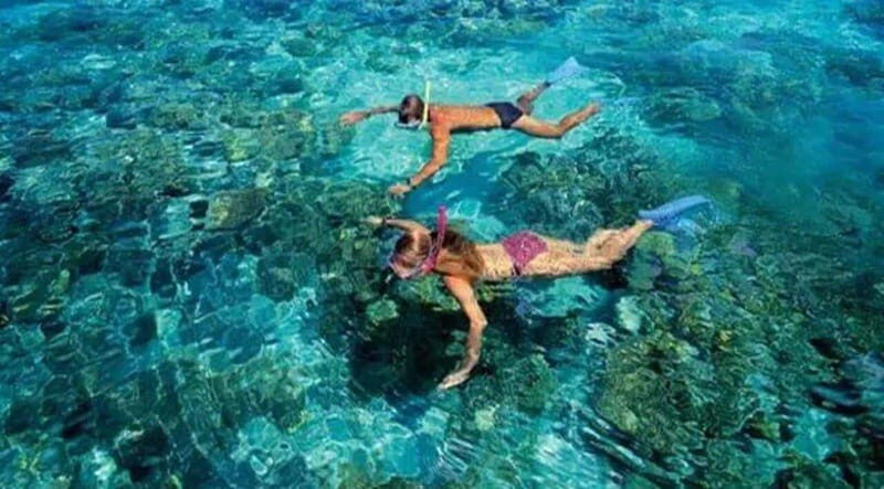 Puerto Morelos: Snorkeling at The National Reef Park - Who Will Love This Experience?
