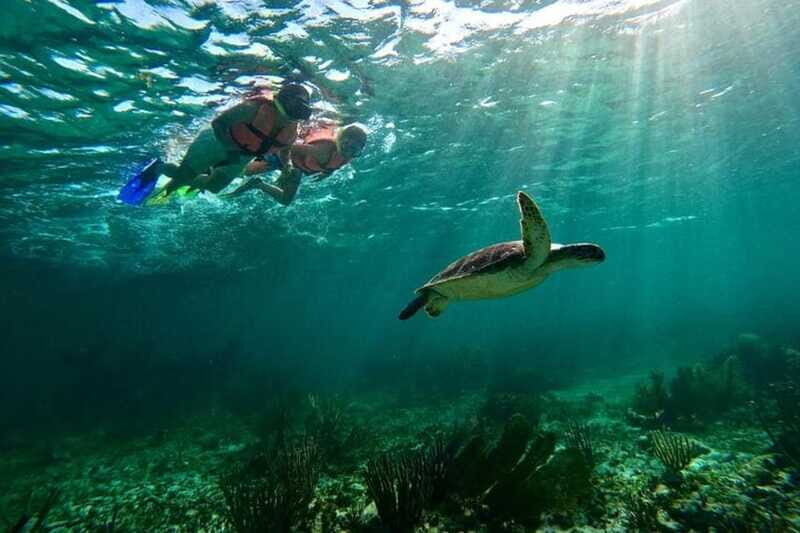 Puerto Morelos: Snorkeling Guided Activity - Why You Should Choose This Tour