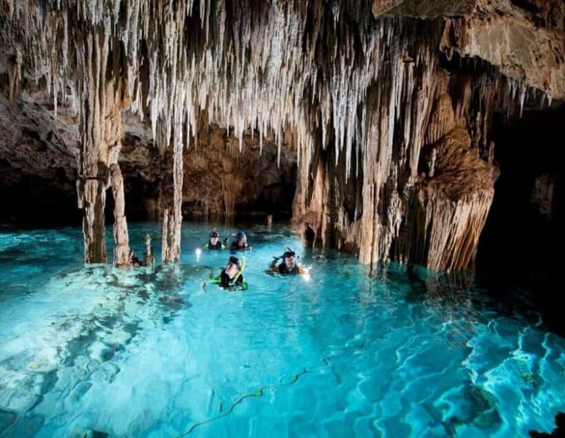 Puerto Morelos: Snorkeling In Cenotes - Key Points