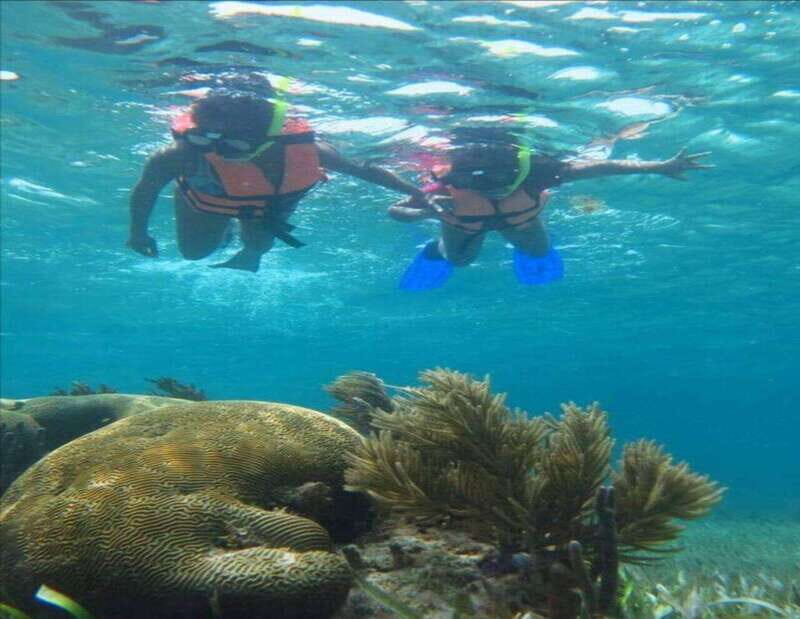 Puerto Morelos: Snorkeling Tour - What Makes This Snorkeling Tour Stand Out?