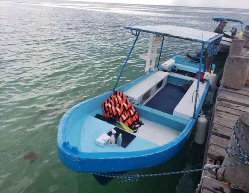 Puerto Morelos: Snorkeling Tour - Pricing and Value