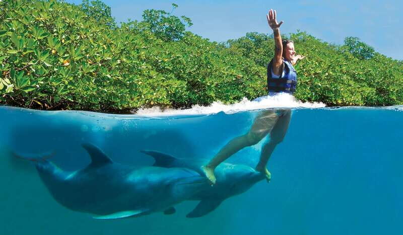 Puerto Morelos: Swim with dolphins Primax - Key Points