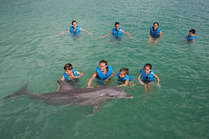 Puerto Morelos: Swim with dolphins Primax - What to Expect from the Dolphin Encounter