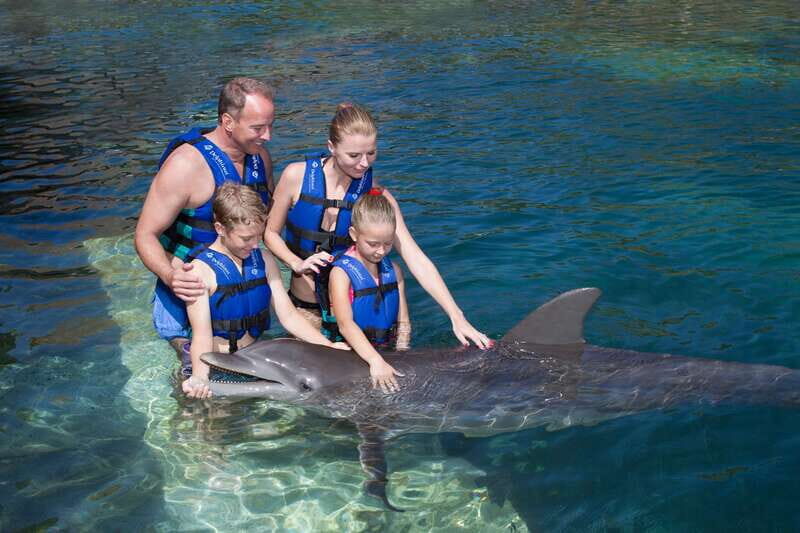 Puerto Morelos: Swim with dolphins Primax - The Cost and Value of the Experience