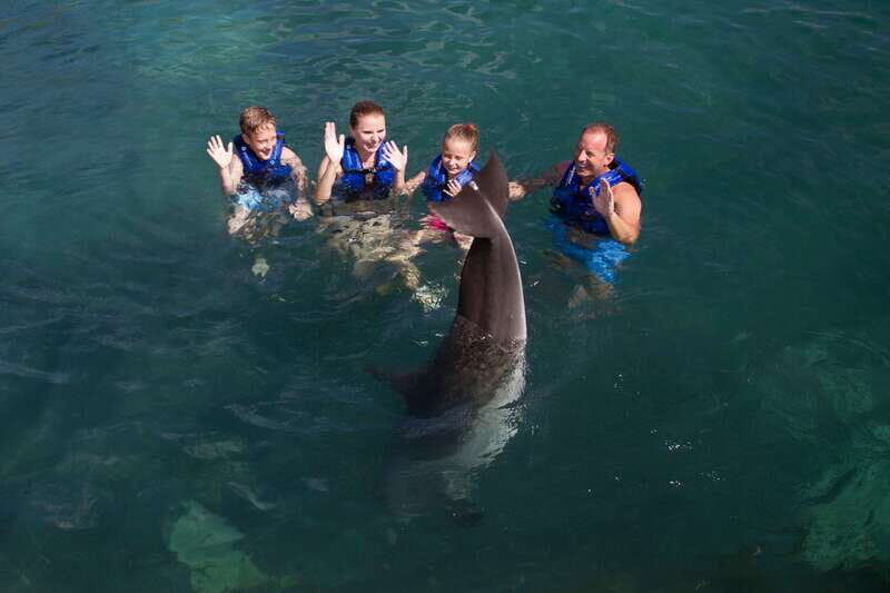 Puerto Morelos: Swim with dolphins Primax - What Previous Travelers Say