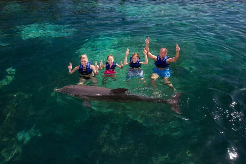 Puerto Morelos: Swim with dolphins Primax - The Experience Day: A Step-by-Step Breakdown