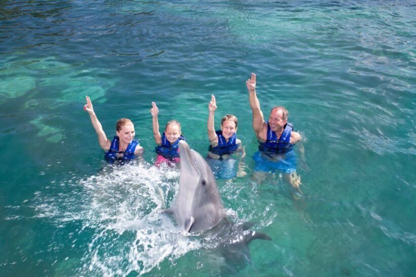 Puerto Morelos: Swim with dolphins Primax - Practical Tips for Your Visit