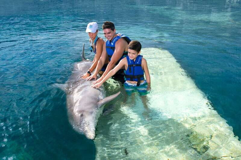Puerto Morelos: Swim with dolphins Primax - Who Should Consider This Tour?