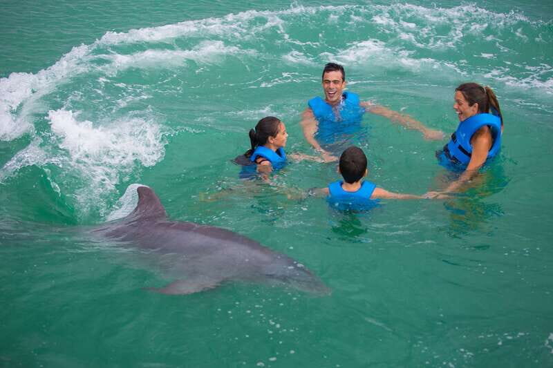 Puerto Morelos: Swim with dolphins Primax - FAQ
