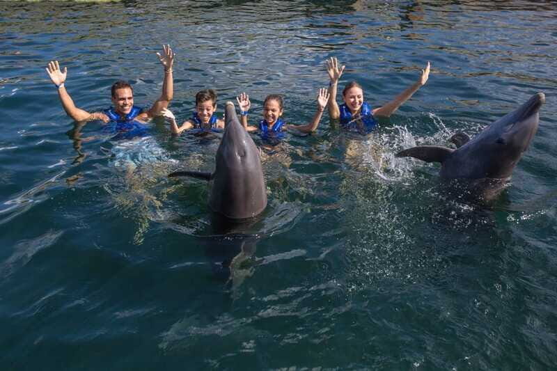 Puerto Morelos: Swim with Dolphins - Similar Experiences in the Area
